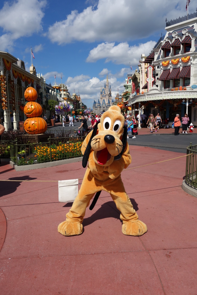 Pluto at Town Square in Magic Kingdom – KennythePirate.com