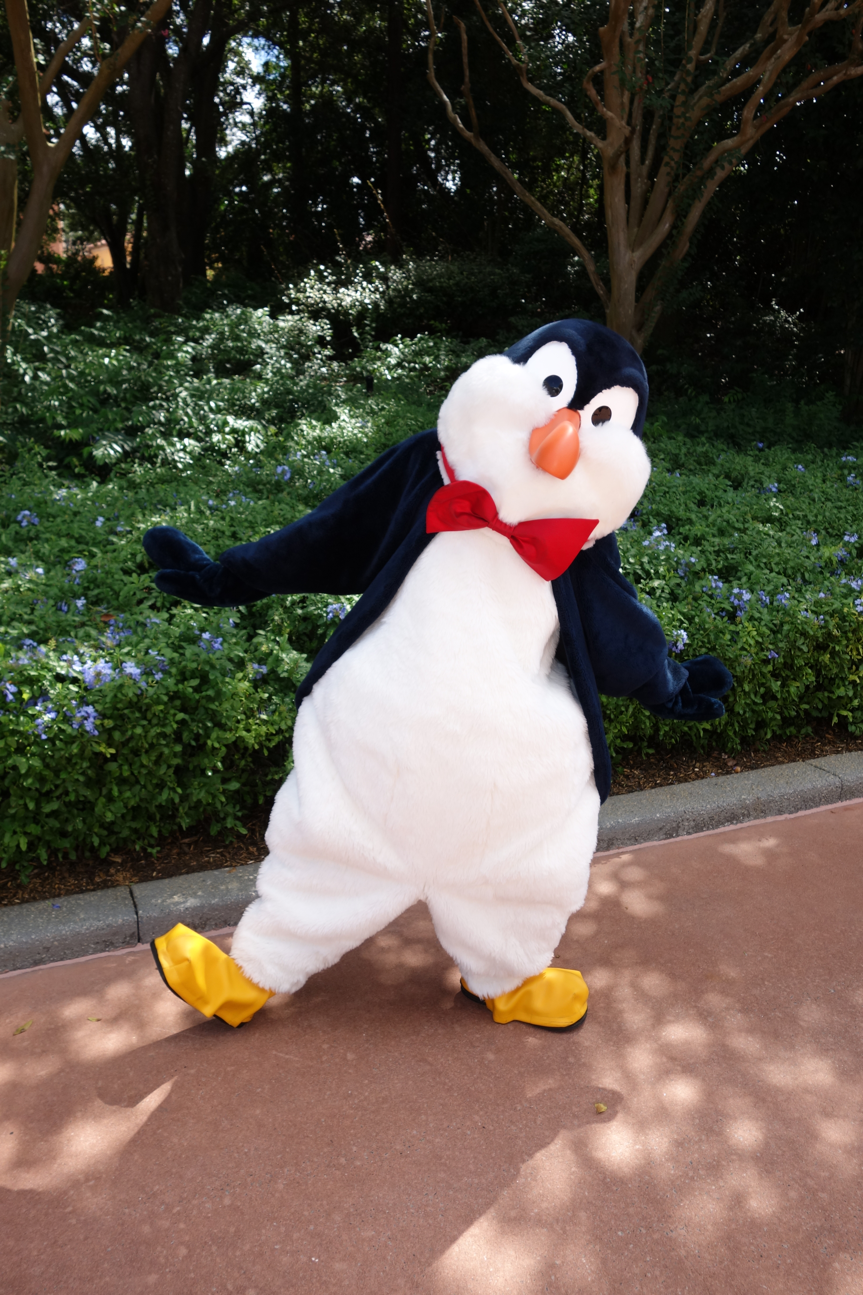 Mr. Penguin - KennythePirate.com