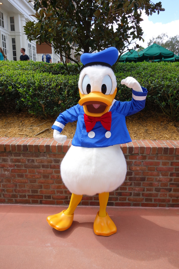 Donald Duck at Epcot – KennythePirate.com