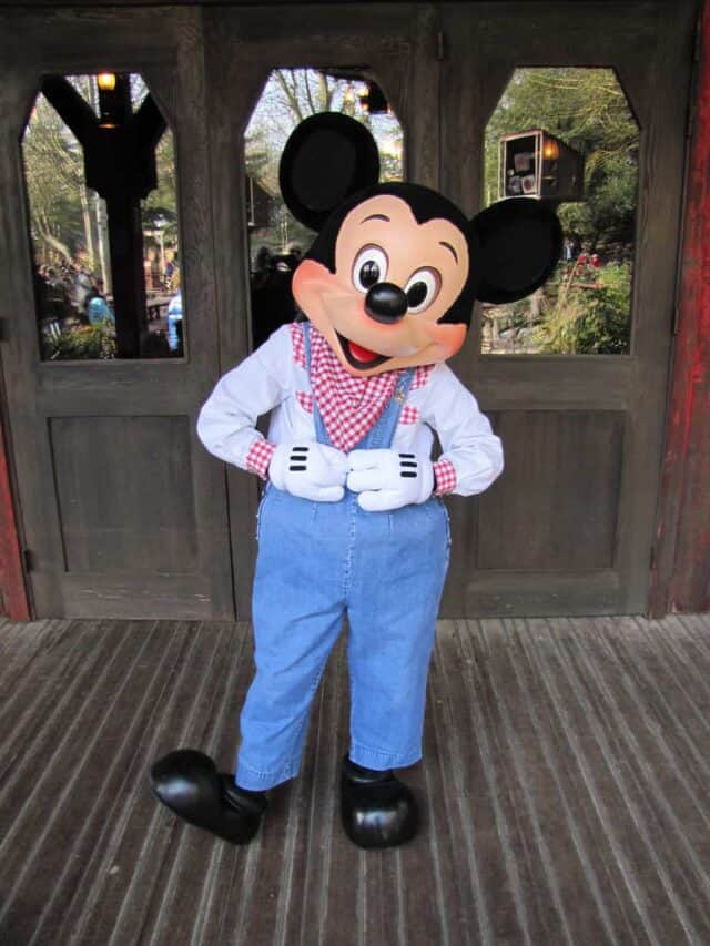 Frontierland Fire Leads to the Evacuation of Disney Guests ...