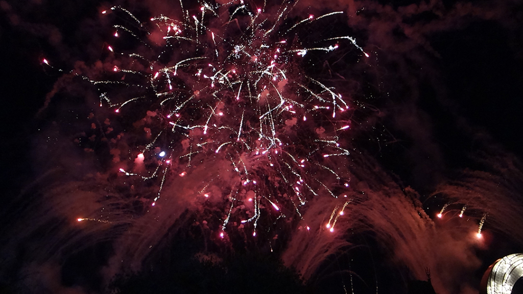 Video and Photos: Villany in the Sky Unleash the Villains Fireworks ...