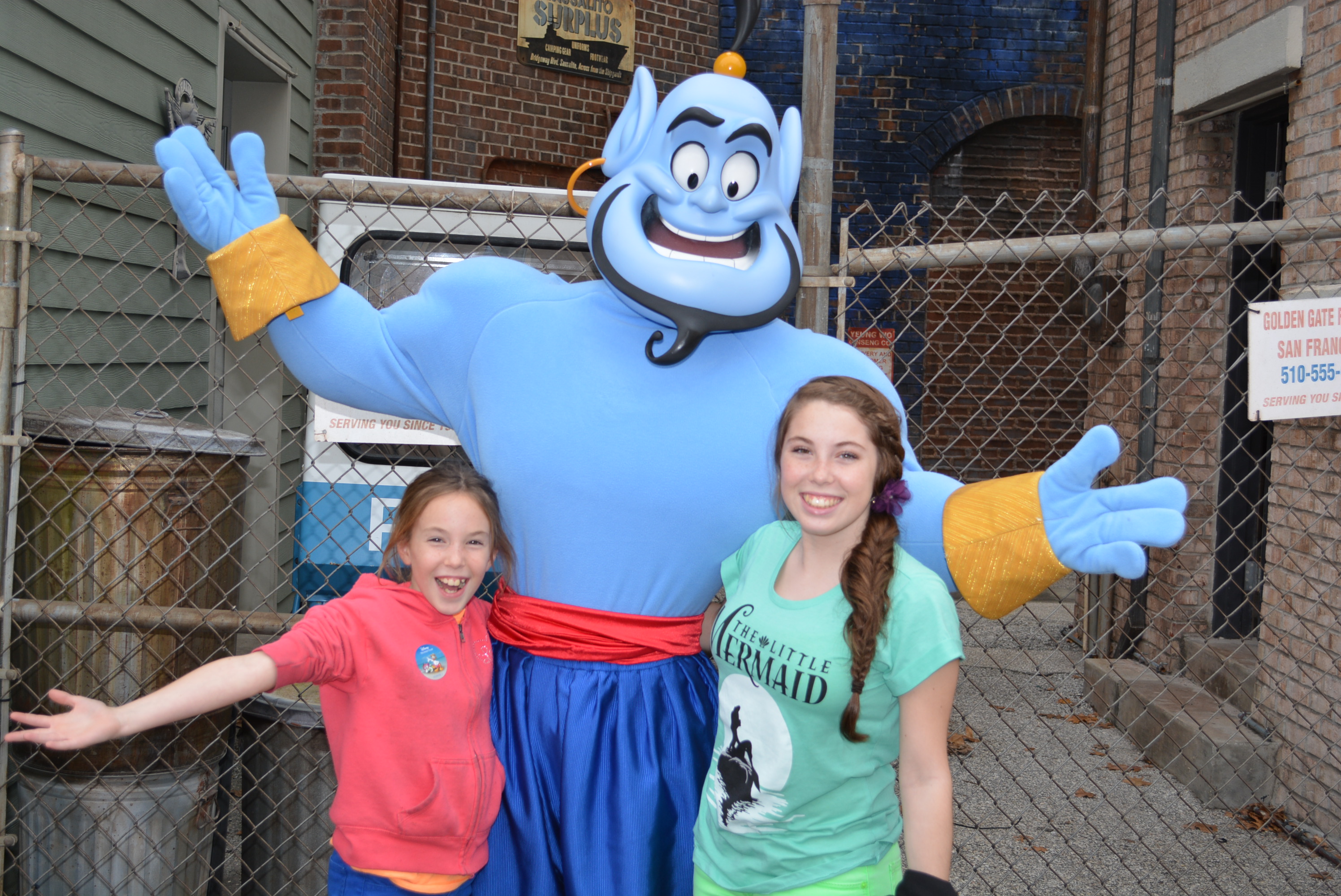 Frozen Disney World Characters