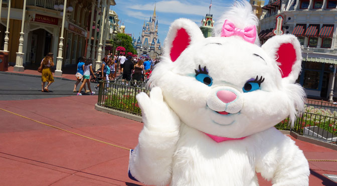 Is Marie the Cat is leaving the Magic Kingdom? - KennythePirate.com