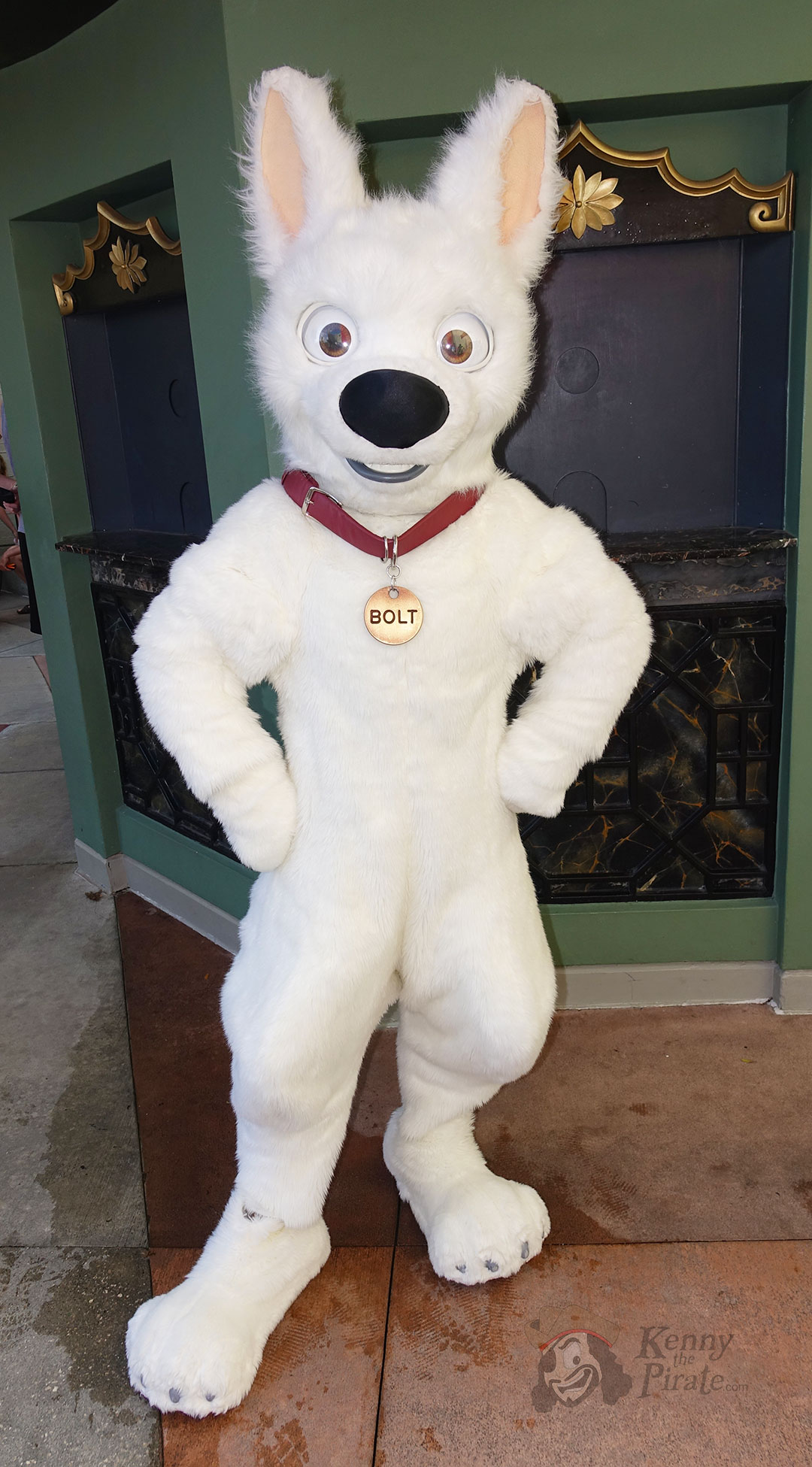Bolt Fursuit