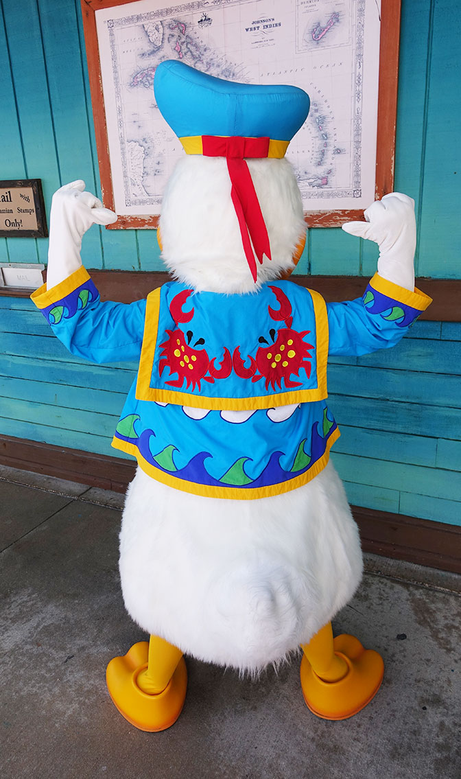 Donald Duck swimmer at Castaway Cay Disney Fantasy 3 – KennythePirate.com