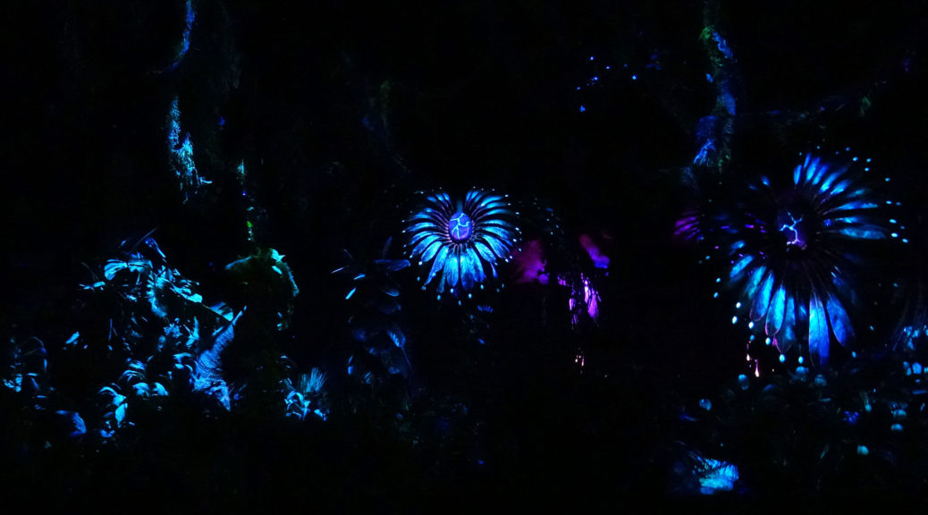REVIEW Na'Vi River Journey in Pandora the World of Avatar at Disney's ...