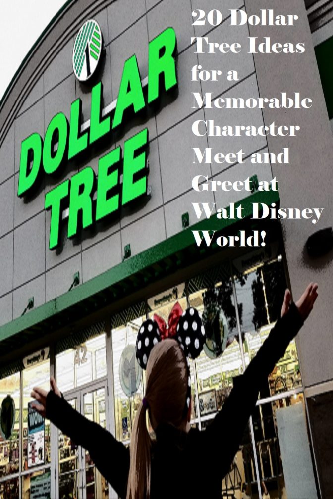 DOLLAR TREE TO DISNEY: 20 IDEAS FOR A MEMORABLE CHARACTER MEET AND ...