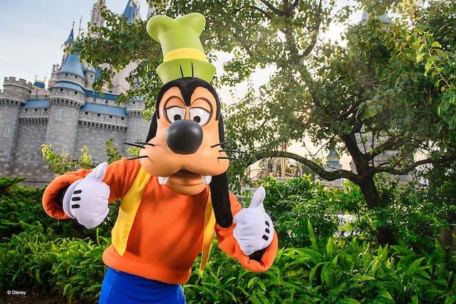 goofy – KennythePirate.com