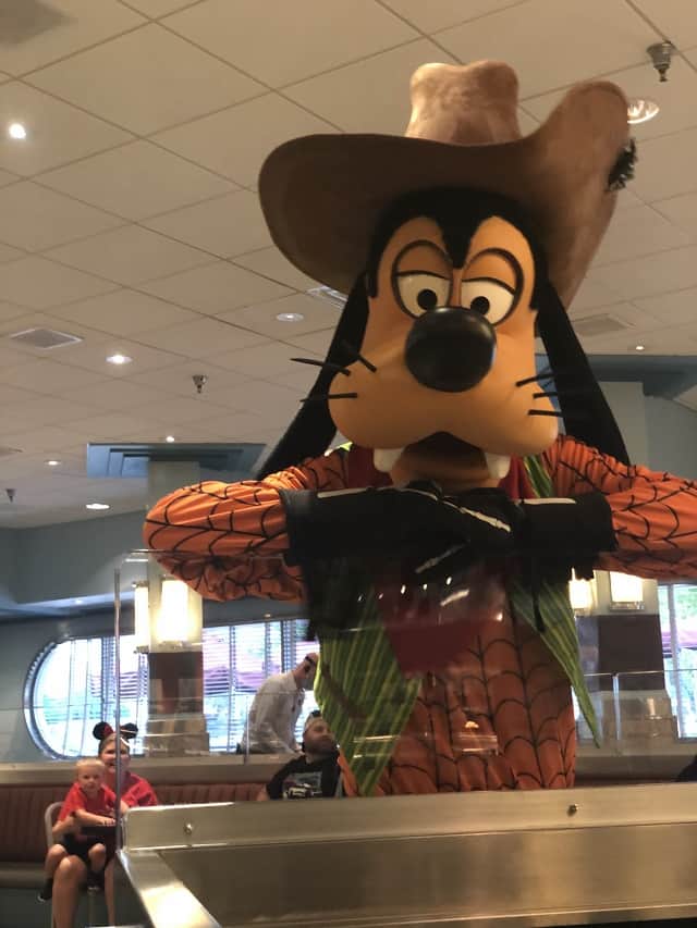 Hollywood and Vine Goofy (2) – KennythePirate.com