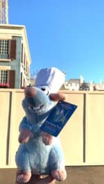 New Remy Plush Is Truly the Best Toy Now At Disney World ...