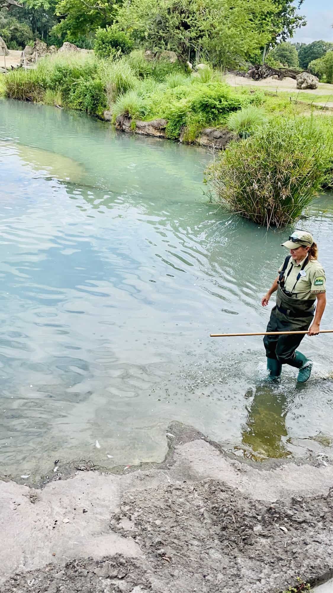 safari cast member 2 – KennythePirate.com