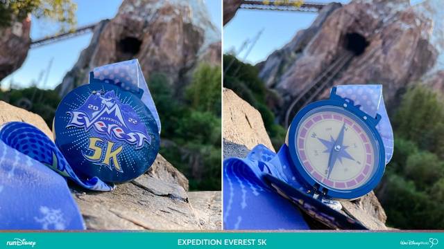 runDisney Springtime Surprise Is Full Of Surprises - KennythePirate.com
