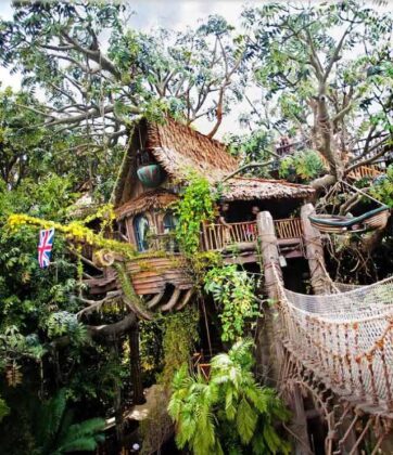Disney announces new theming for Tarzan's Treehouse - KennythePirate.com