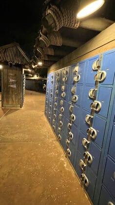 Complete guide to everything you need to know about Disney's Typhoon ...