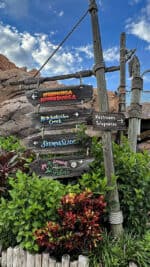 Complete guide to everything you need to know about Disney’s Typhoon ...