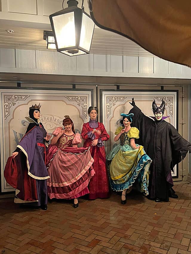 Disneyland Villains Evil Queen Maleficent Stepmother Stepsisters