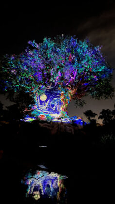 Zootopia Is Now Heading To Disney’s Animal Kingdom – KennythePirate.com