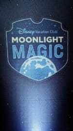 Surprising New Entertainment Added To Disney World After Hours Event ...