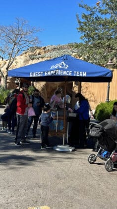 Everything you need to know about Guest Relations at Disney World ...