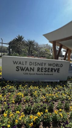 Complete guide to everything you need to know about the luxurious Swan ...
