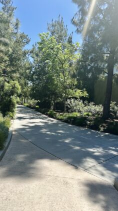 Do you know about this "secret" Disney walkway? - KennythePirate.com