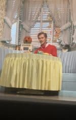 Carousel of Progress Stops Abruptly Due To This Unexpected Guest ...