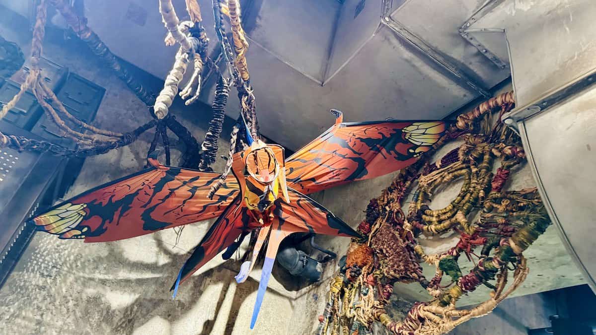 Banshee Flight of Passage windtraders Animal Kingdom Pandora ...