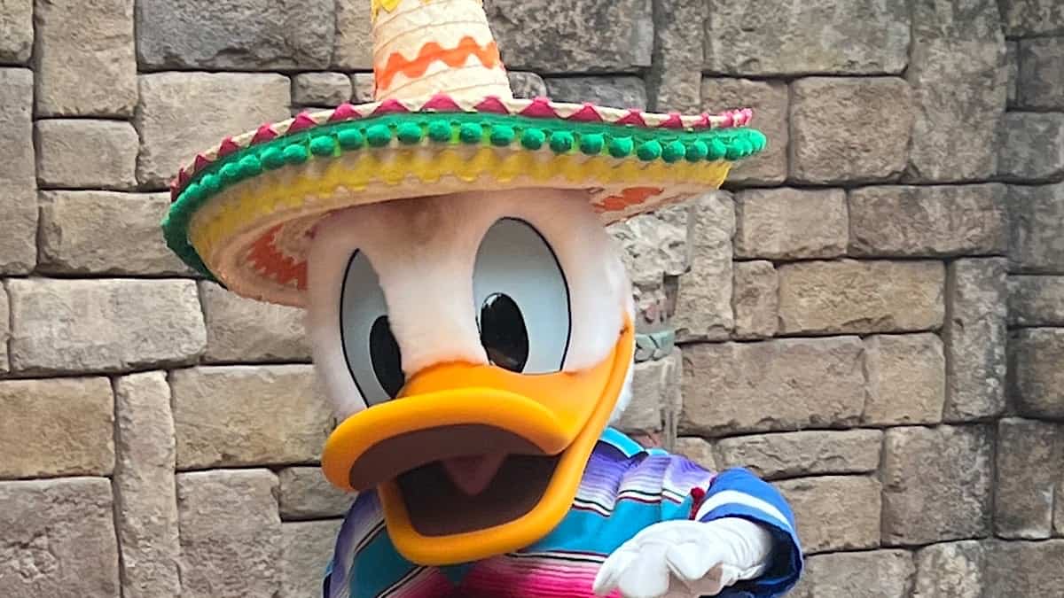 Epcot Mexico donald – KennythePirate.com