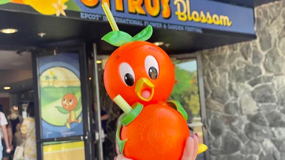 2024 Epcot flower garden festival citrus, blossom, orange bird sipper ...