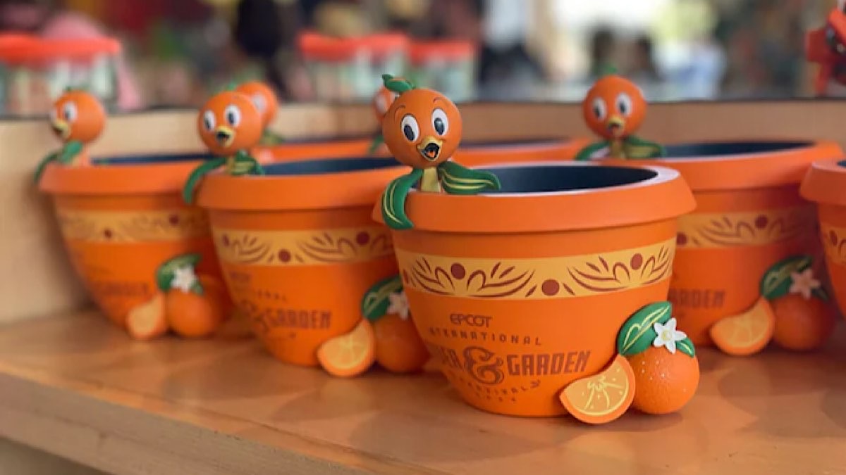Epcot flower garden festival, 2024 orange bird planter – KennythePirate.com
