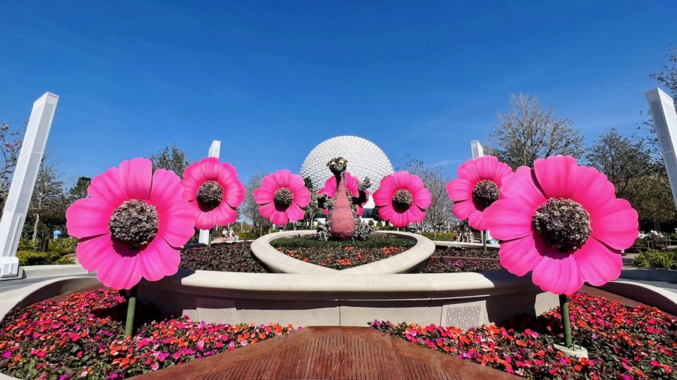 Spring Break Crowds Affect Disney World Operating Hours ...