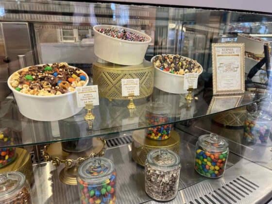 The Best Snack in Disney World That you Need to Have - KennythePirate.com