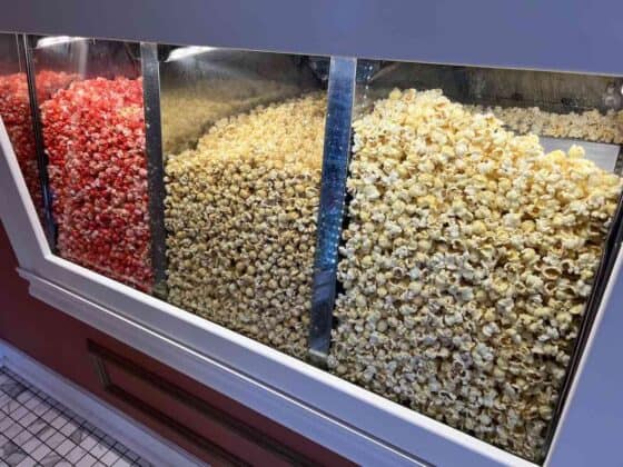 The Best Snack in Disney World That you Need to Have - KennythePirate.com