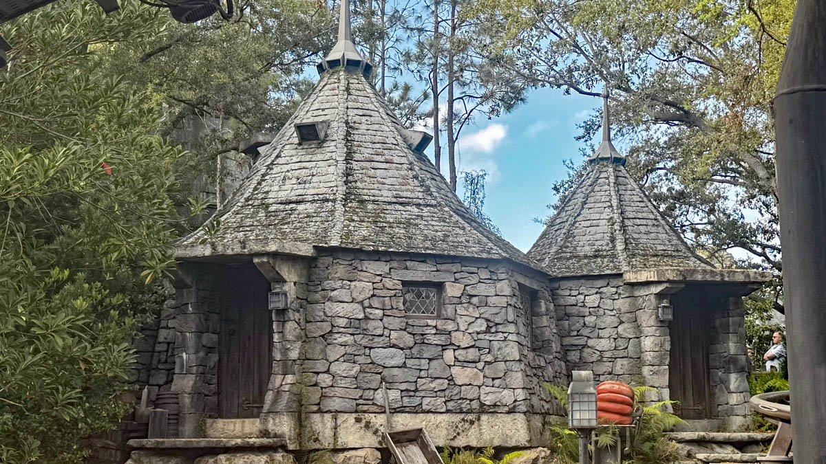 universal islands of adventure hogsmeade flight of hippogriff ride ...