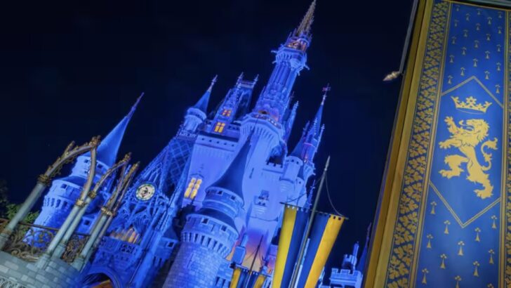 This New Ride Has Been Removed From After Hours – KennythePirate.com