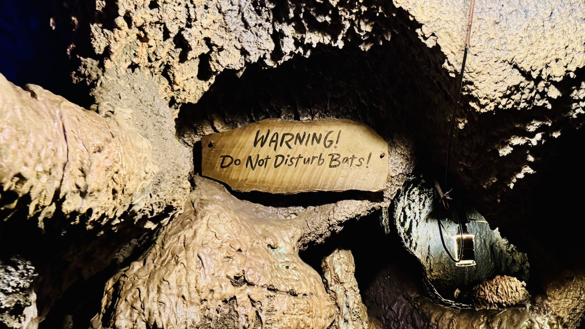 Details Revealed for Disney's New Indiana Jones Ride - KennythePirate.com