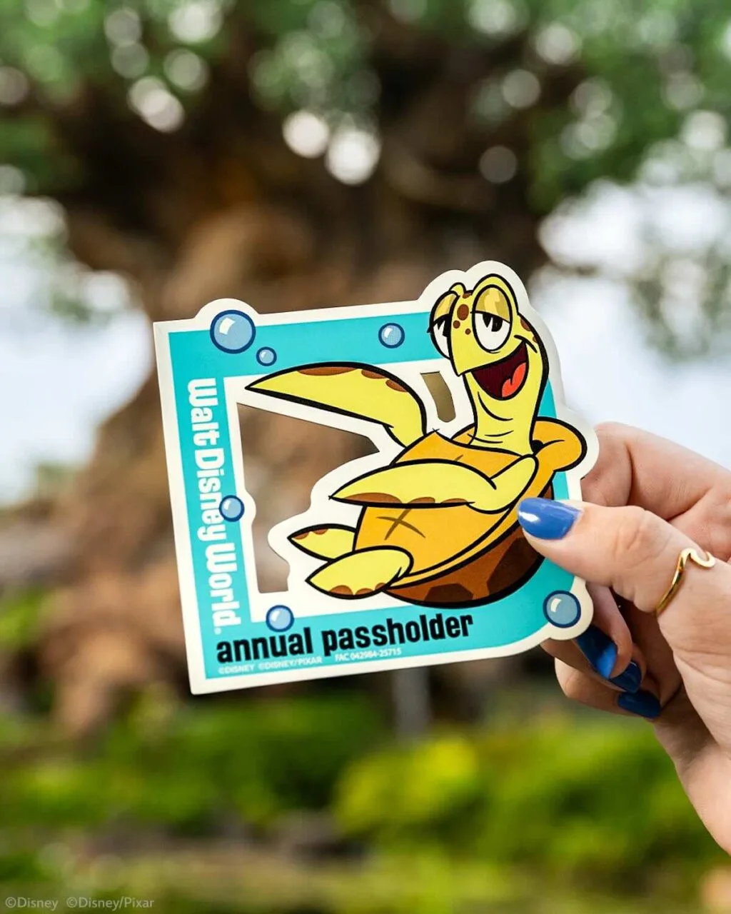 NEW Disney Passholder Magnet Revealed – KennythePirate.com