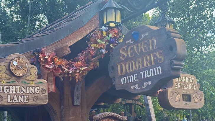 Creepy Surprise Aboard Seven Dwarfs Mine Train - KennythePirate.com