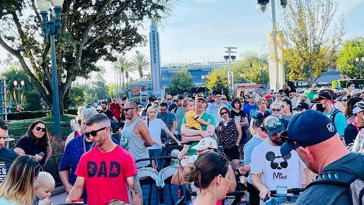 Hollywood Studios Opens New Attraction - KennythePirate.com