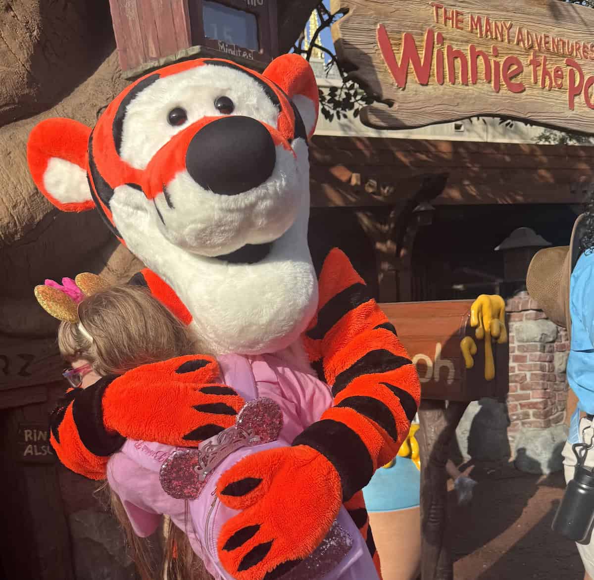 Magic Kingdom Removes Popular Pooh and Tigger Meet and Greet ...